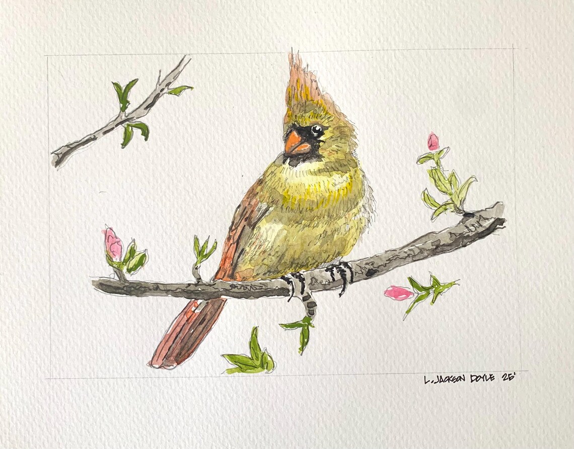 Cardinal Female With Blossoms Watercolor Limited Print #2 - Etsy