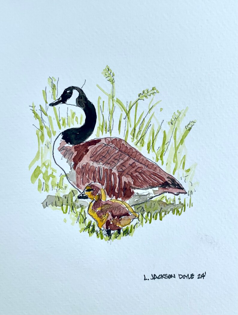 Canada Goose and Goosling Watercolor Original Painting - Etsy