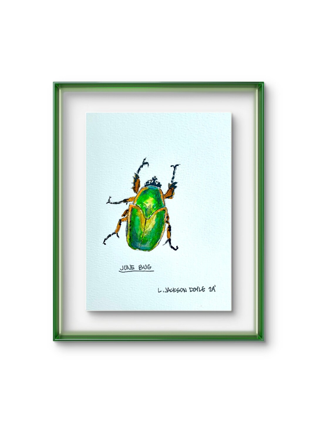 June Bug, Original Watercolor. - Etsy