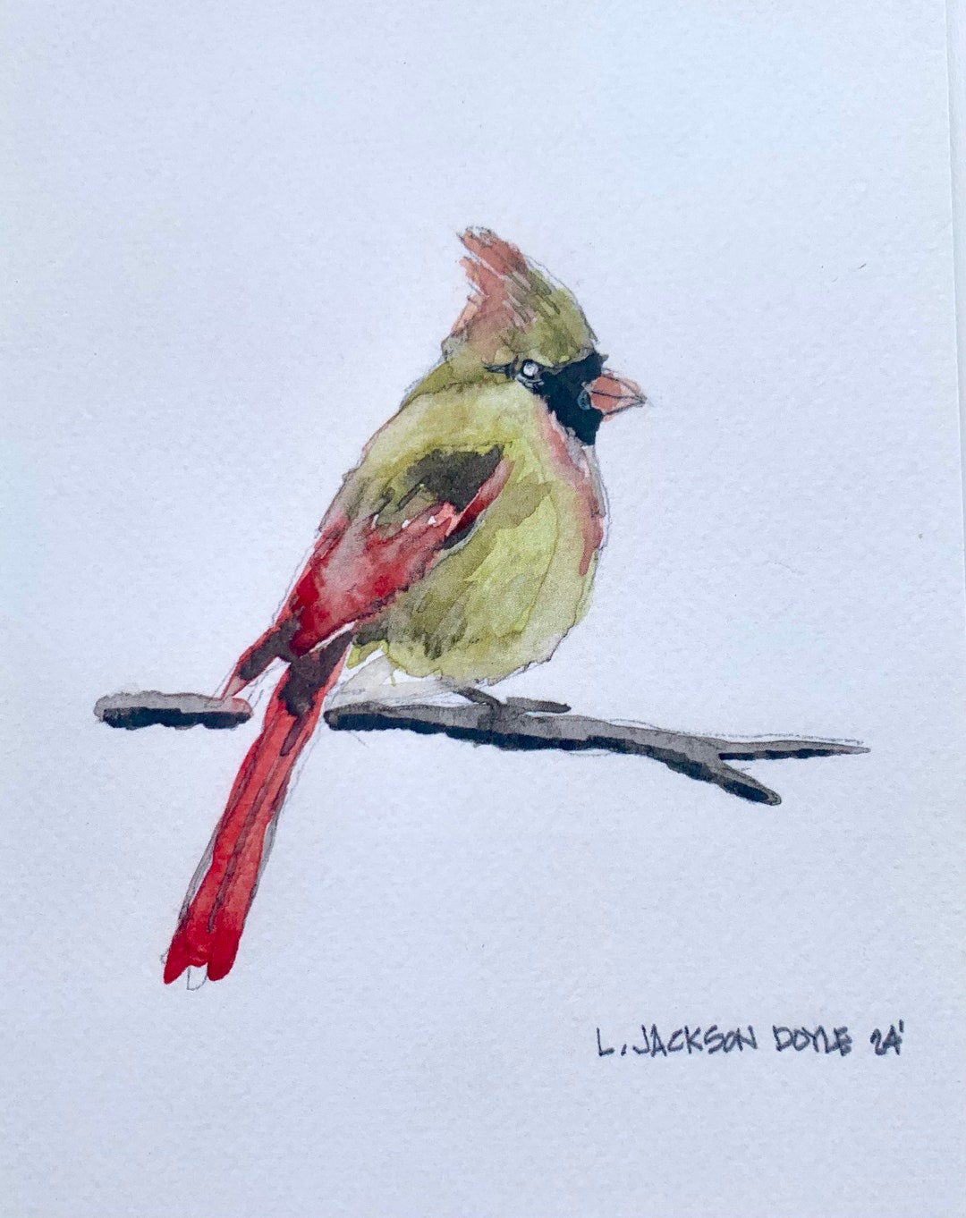 Cardinal Female Watercolor Limited Print - Etsy