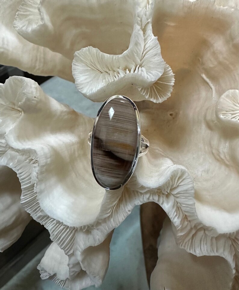 Beautiful Modern Petrified Wood Ring Size 8 - Etsy