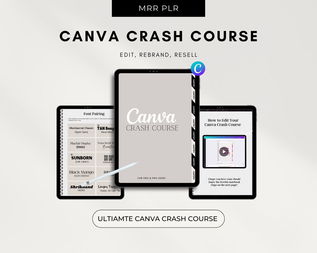 Canva Crash Course, Canva Ebook, Canva Guide, Stan Store Guide, Master ...
