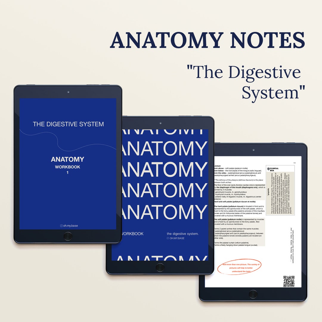 Medical Notes, Anatomy Notes, Anatomy Workbook, Digestive System ...