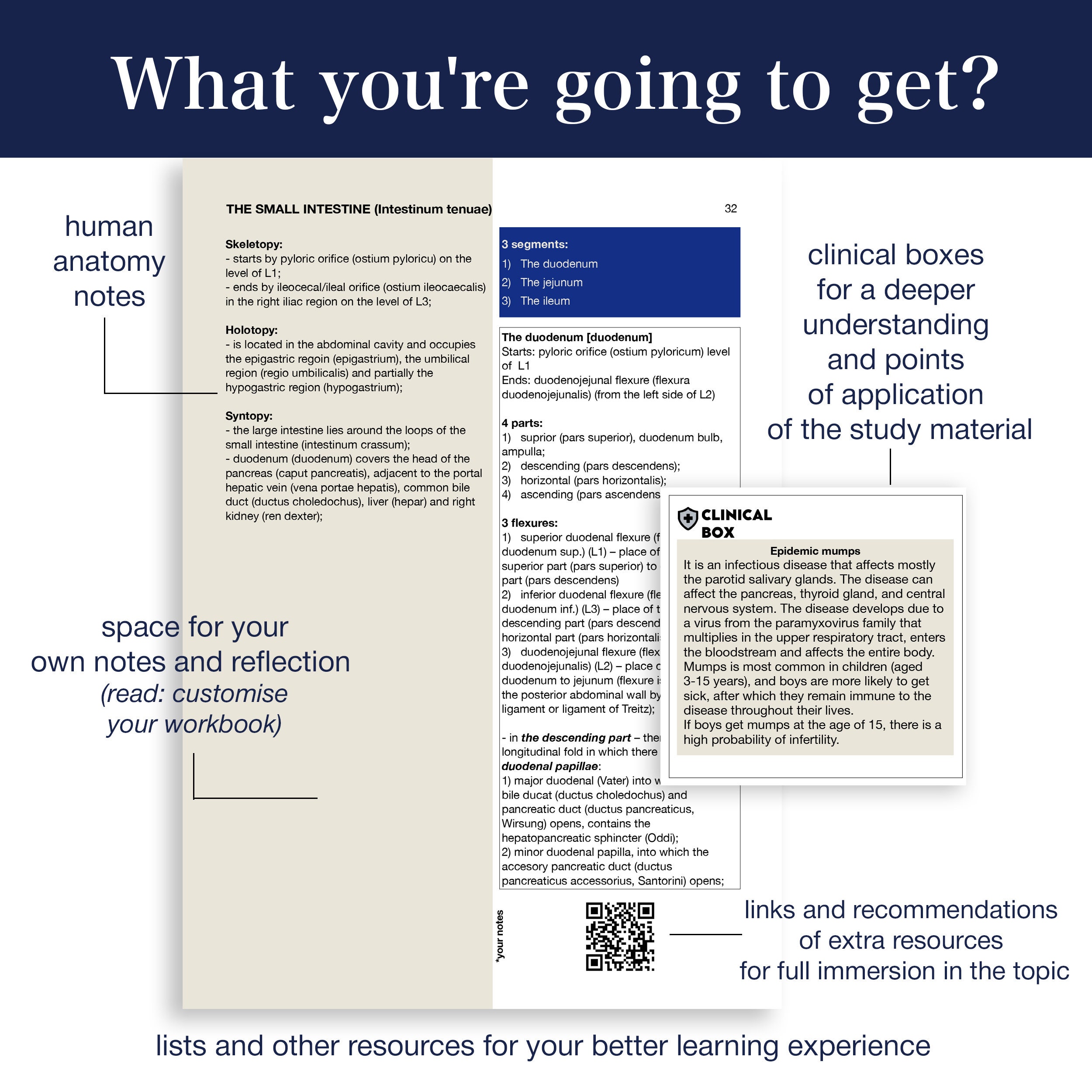 Medical Notes, Anatomy Notes, Anatomy Workbook, Digestive System ...