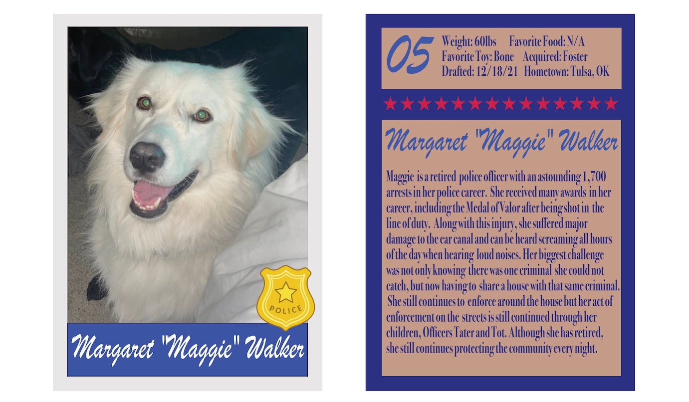 Dog Baseball Cards - Etsy