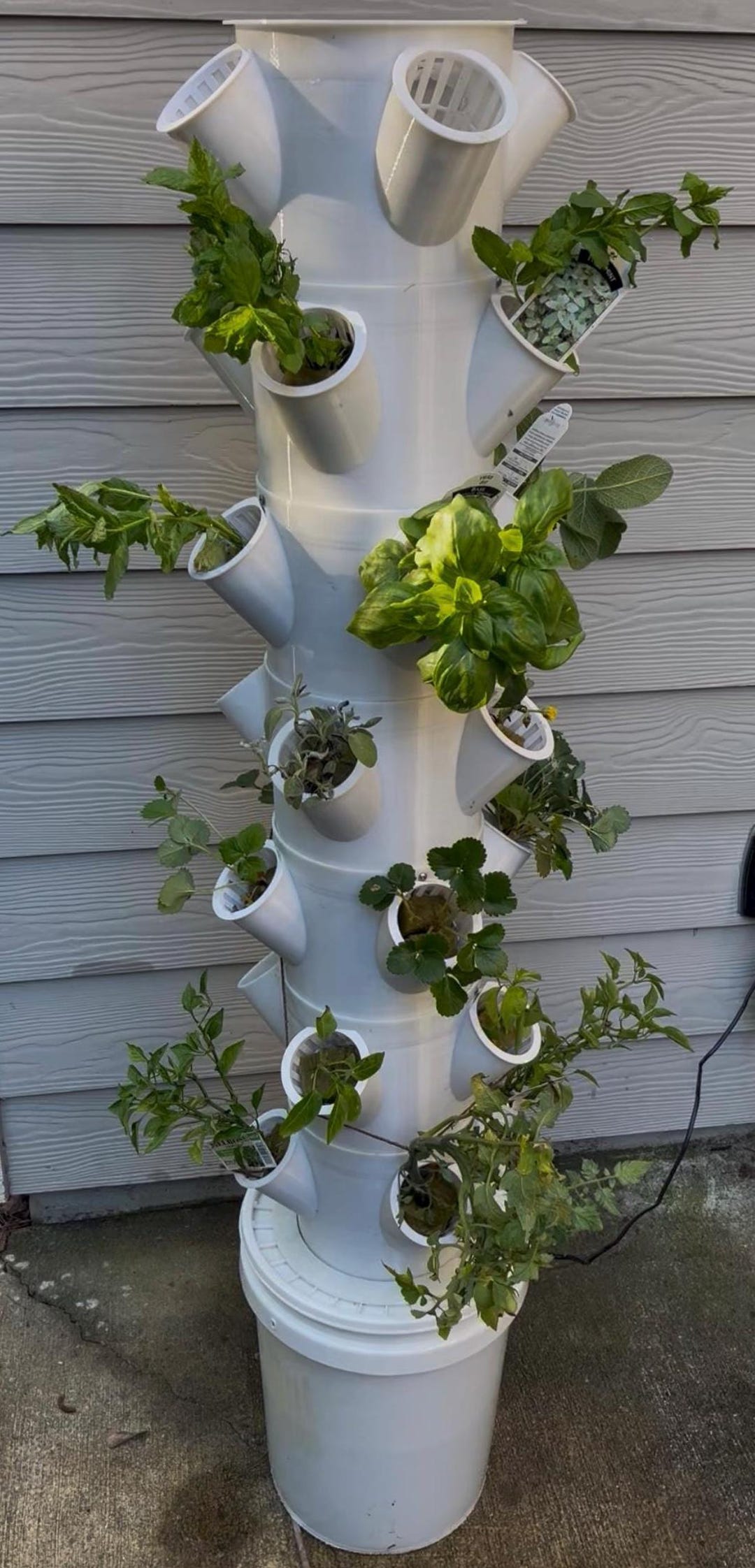 3d Printed Hydroponics Grow Tower - Etsy