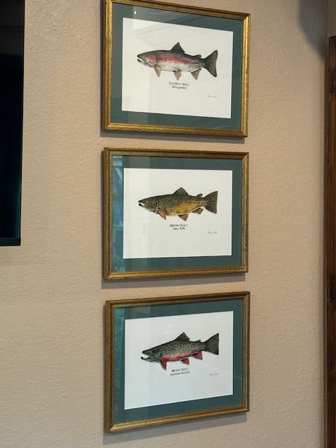 Rainbow Trout Fish Print - Etsy