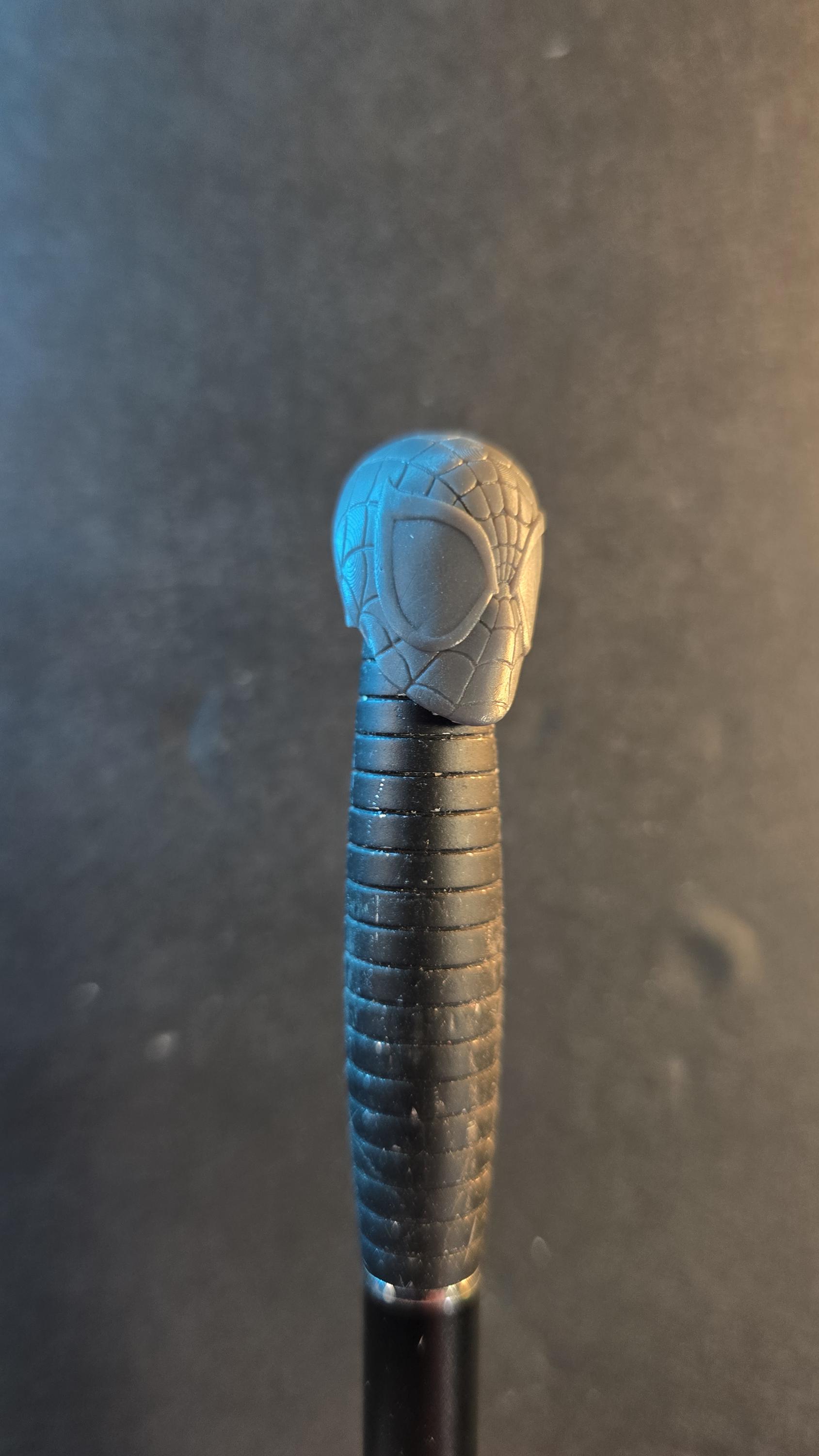 Maximum Spider-man Custom 3D Printed Heads Set 1 (engraved Weblines ...