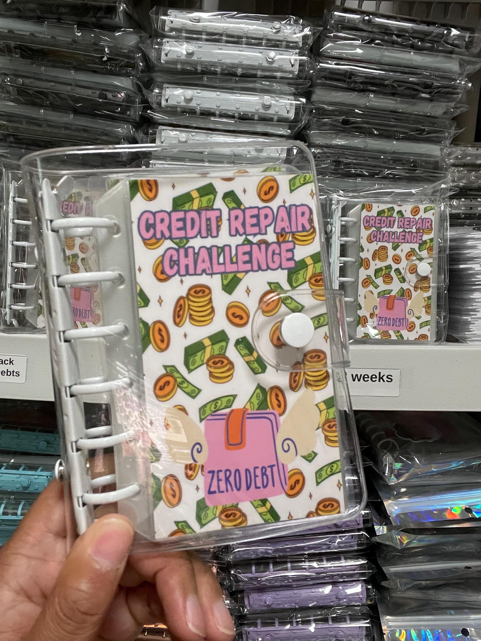 Credit Repair Challenge, A7 Budget Binder With Cash Envelopes - Etsy