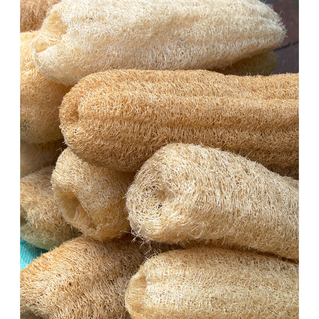 Set of 4 Loofah Sponge - Natural Grown Loofah Sponge - Set of 4 - No ...
