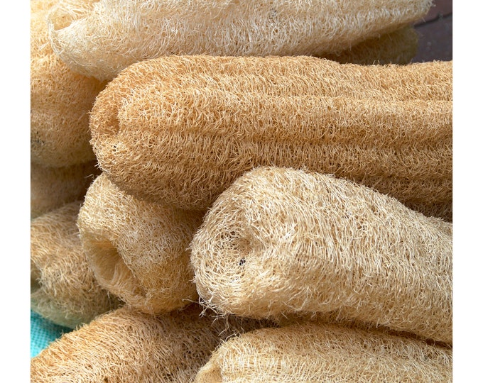 Loofah Sponges Hand Harvested and Hand Sewn Natural Bath, Kitchen ...