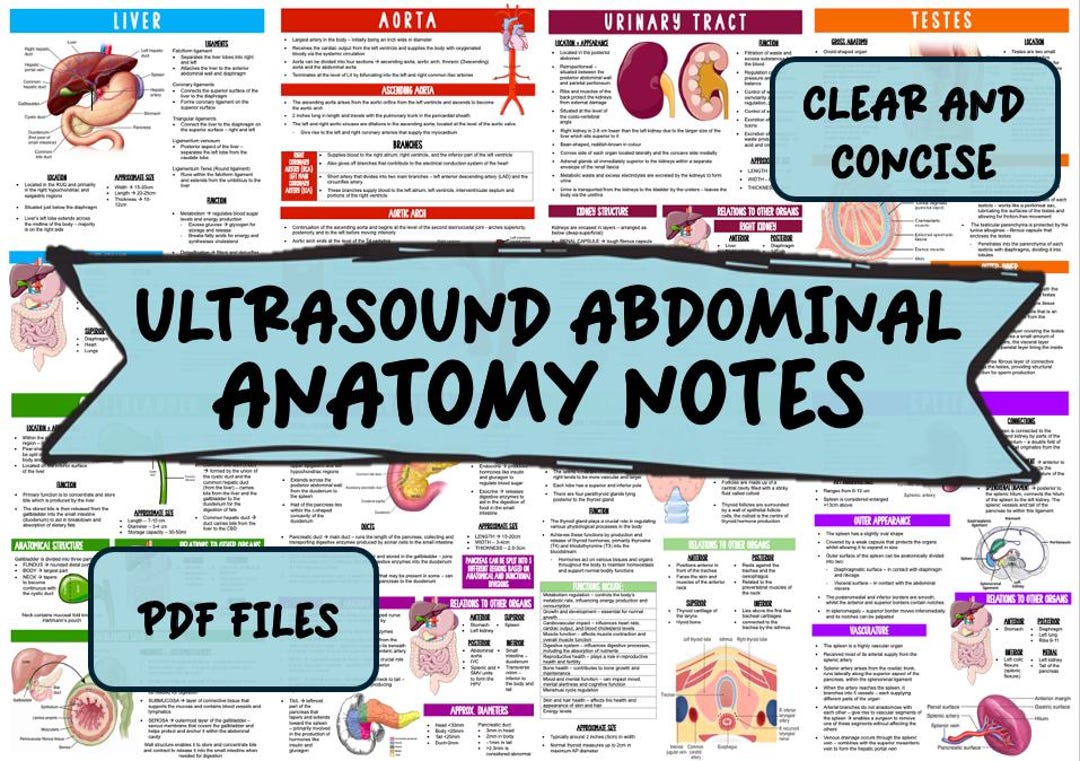 General Medical Ultrasound Notes, Sonography Student Study Guides ...