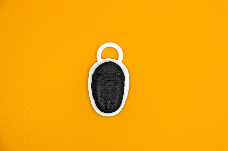 Trilobite Fossil Pendant – 3d-printed Jewelry - Etsy