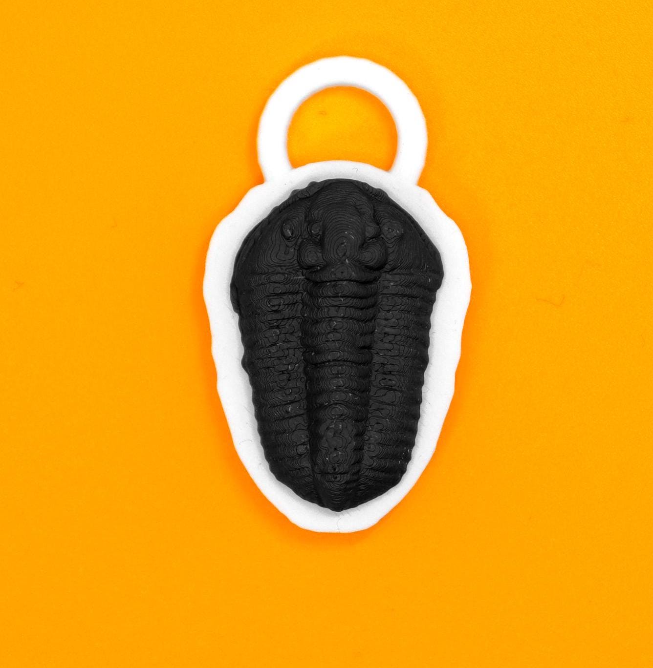 Trilobite Fossil Pendant – 3d-printed Jewelry - Etsy
