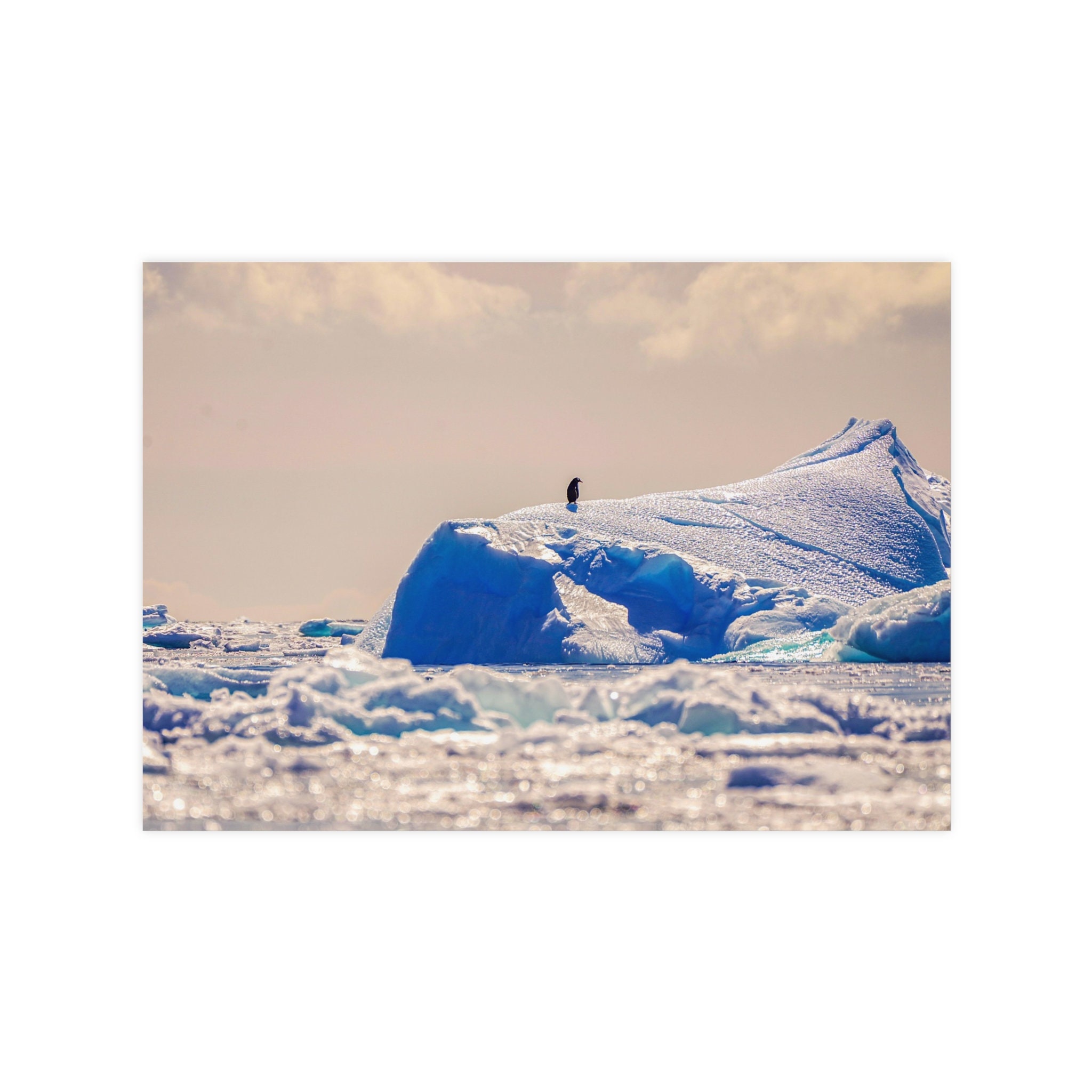 Lone Penguin on the Ice in Antarctica - Landscape Wall Art Poster - Etsy