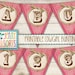 Cowgirl Vintage Bandana Banner Printable - Digital Cowboy Alphabet ...