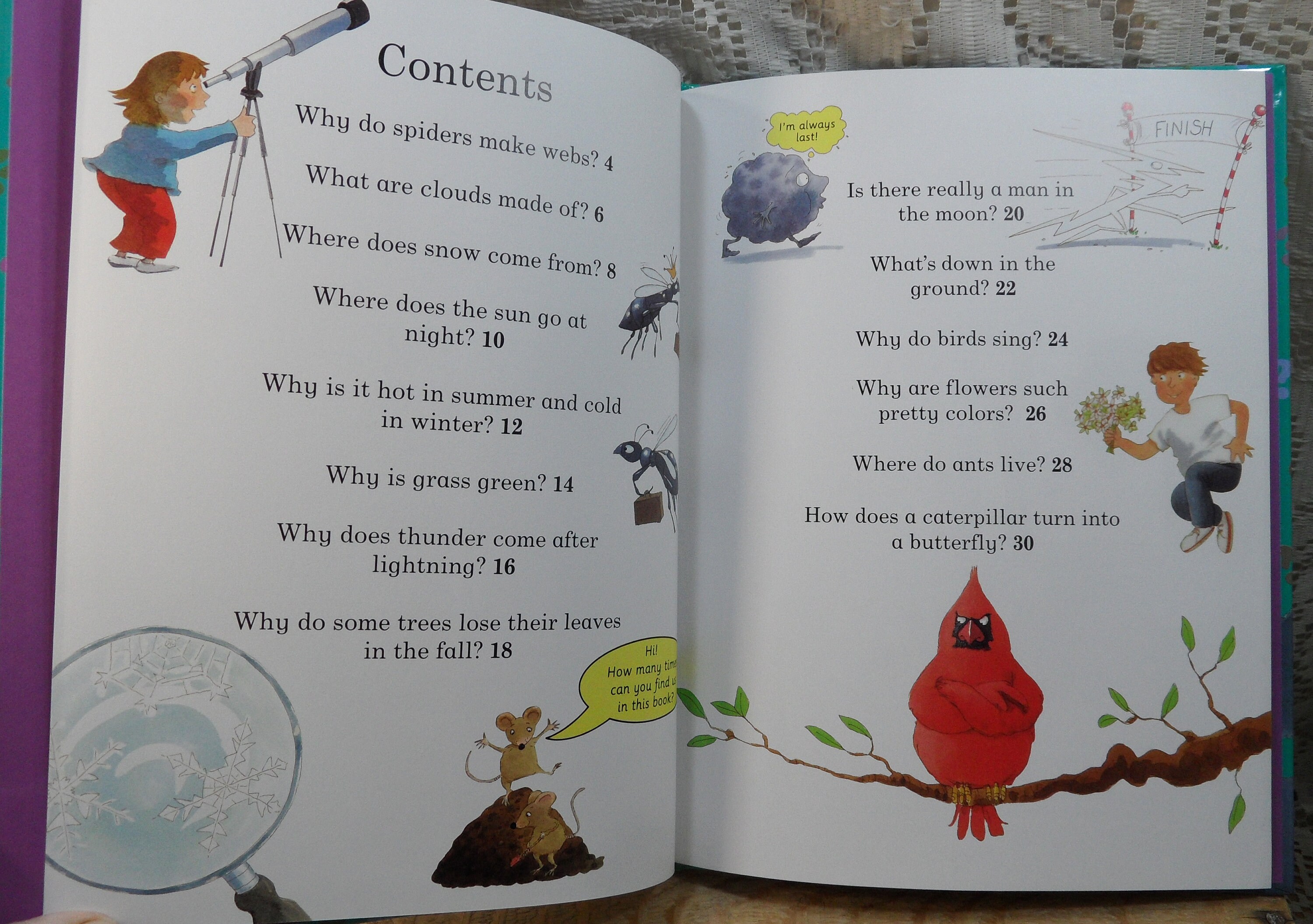 Where Do Ants Live?, Ant Book, Childrens Book, Tell Me Why, Reader's ...
