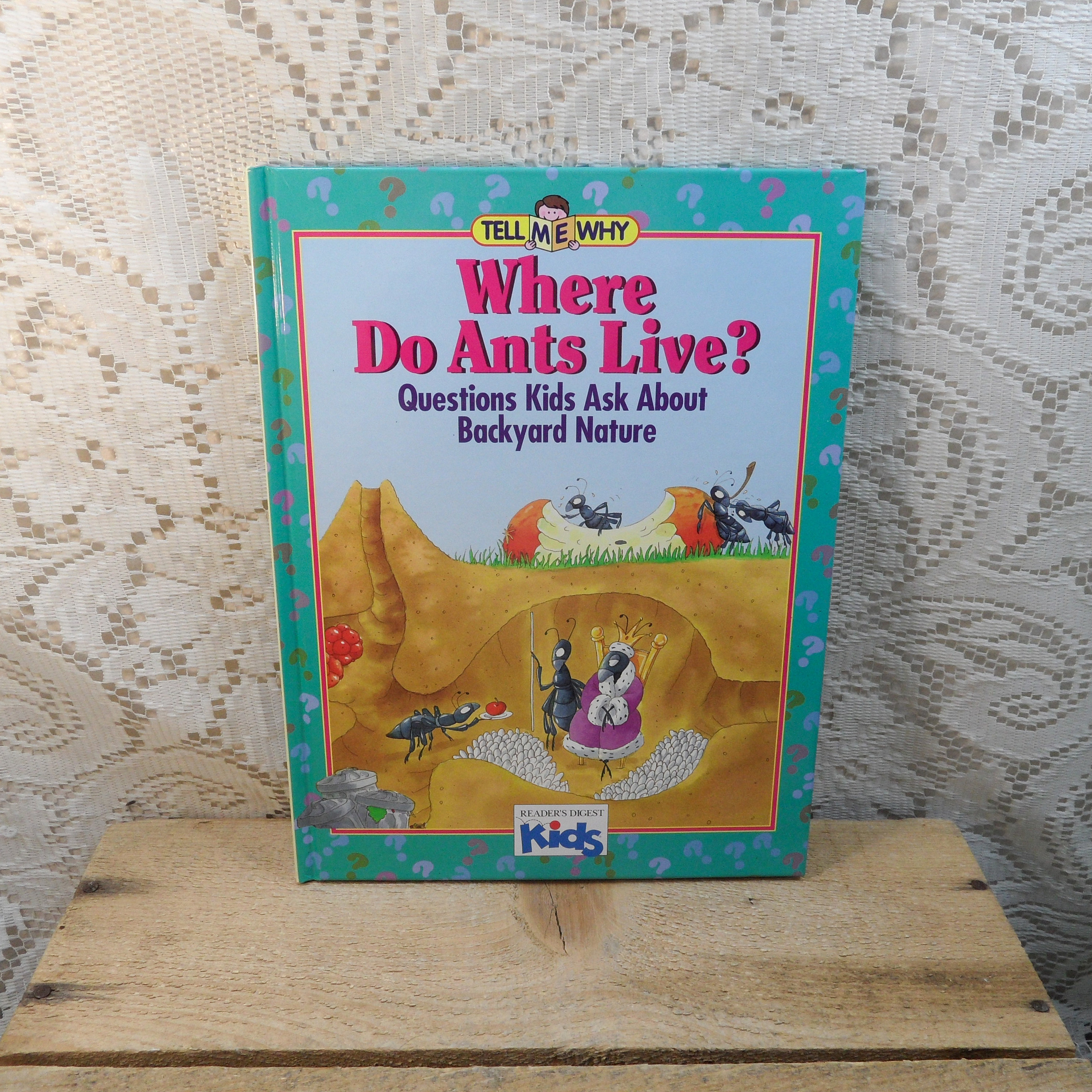 Where Do Ants Live Ant Book Childrens Book Tell Me Why - Etsy