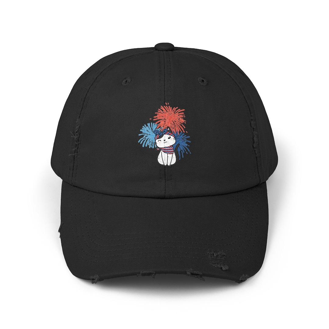 Kitten Fireworks Dad Hat - Etsy