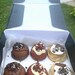Stuffed Cookie Sampler Box !!!! - Etsy