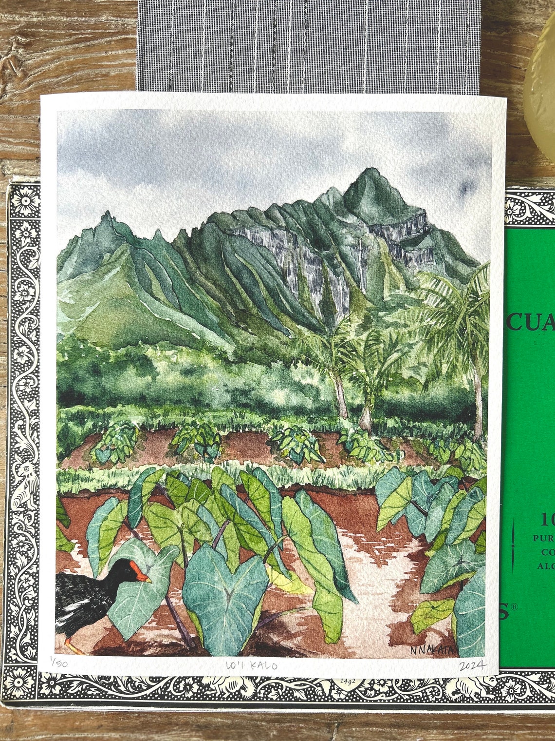Loʻi Kalo Print - Etsy