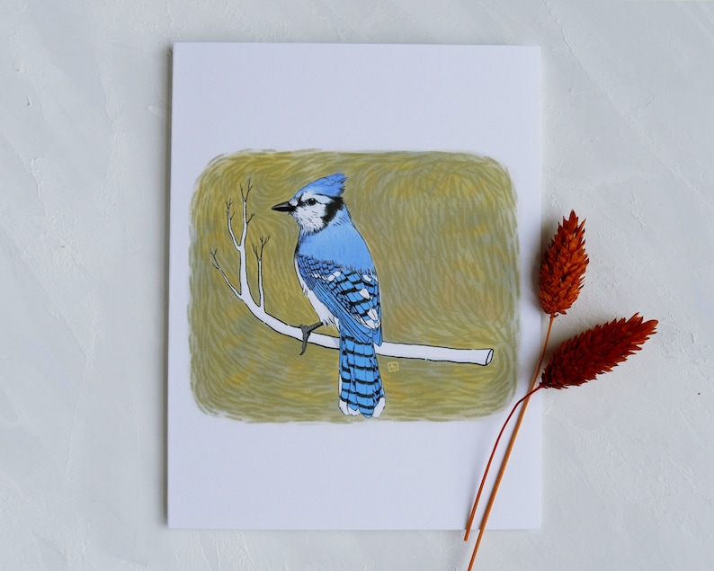 Bluejay Greeting Card - Etsy