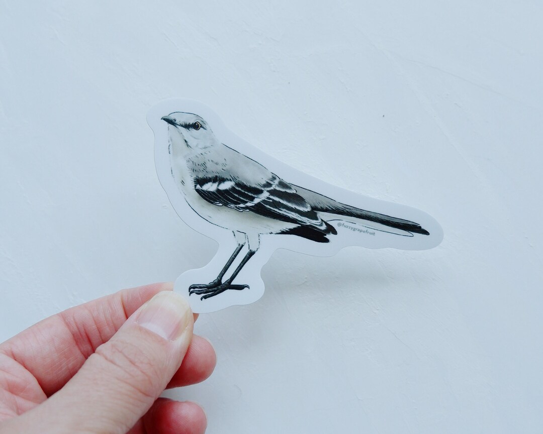 Northern Mockingbird - Vinyl Die Cut Sticker - Etsy