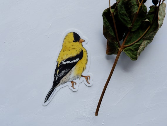 Goldfinch Vinyl Die Cut Sticker - Etsy