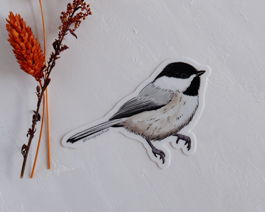 Chickadee - Vinyl Die Cut Sticker - Etsy
