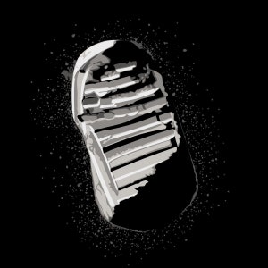 One Small Step T-shirt for Women - Etsy