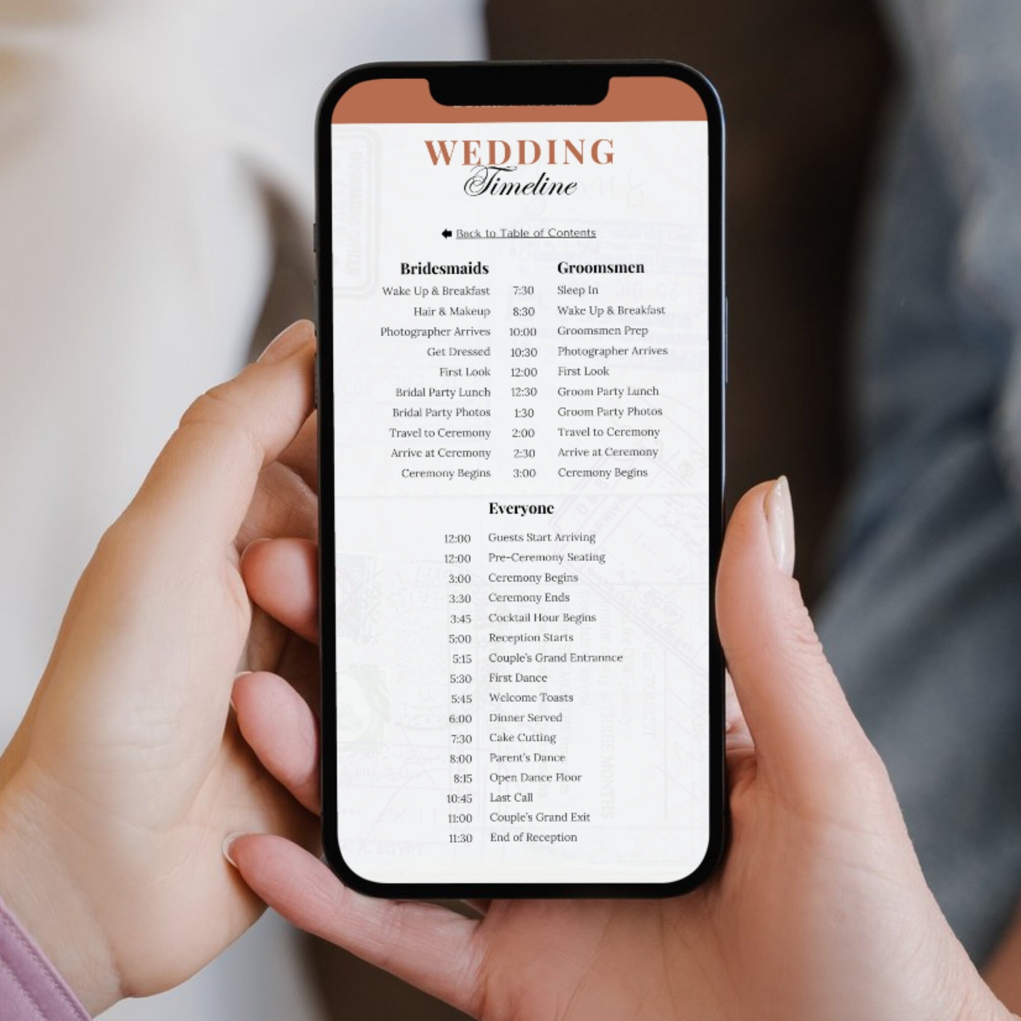 Passport Wedding Invitation Gold, Wedding Timeline Template Digital ...