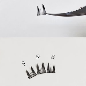 Manga Lashes | Natural Look | Individual Lash | Anime Eyelashes Cluster ...
