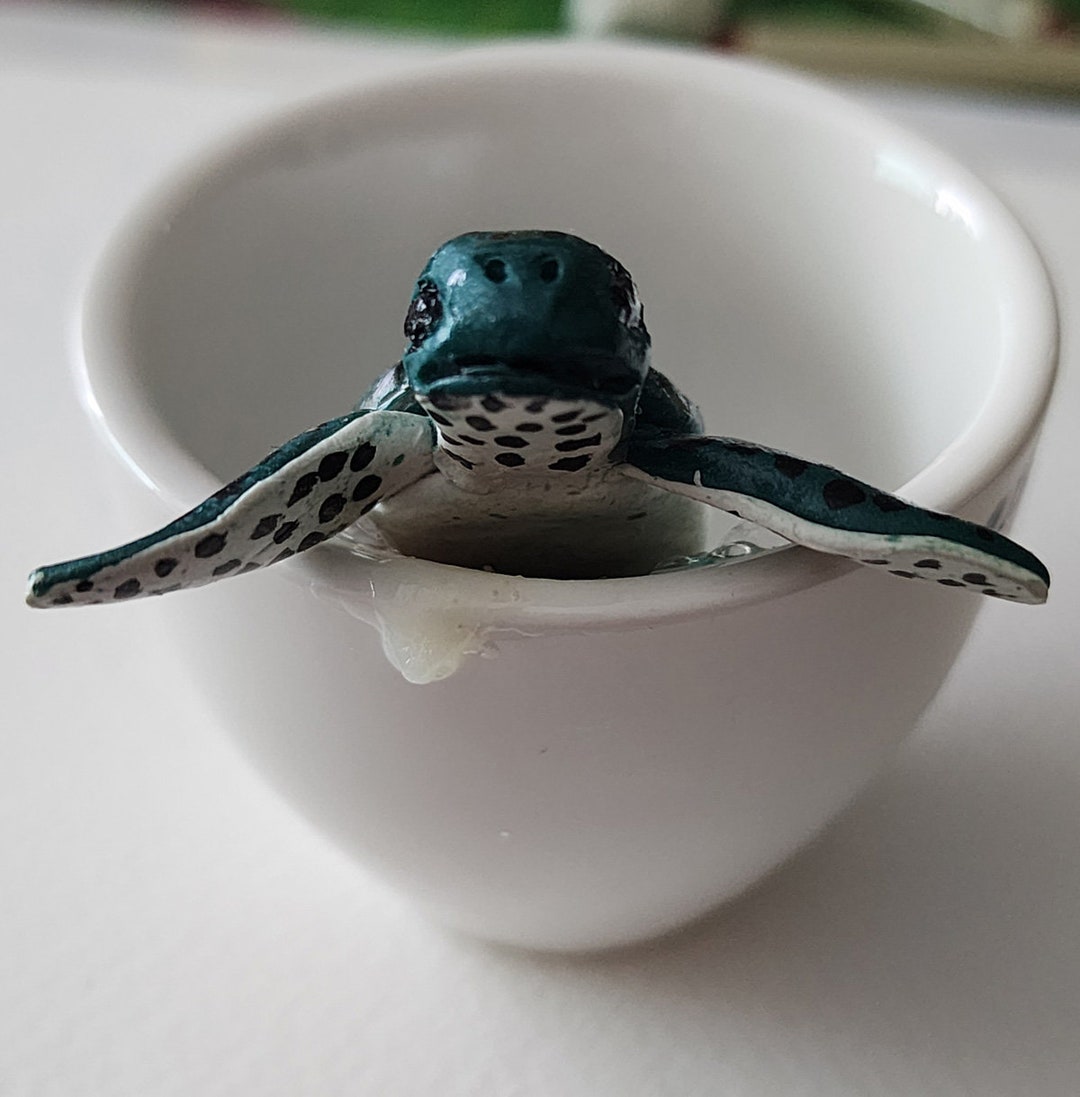 Baby Sea Turtle in a Teacup, Beach Diorama, Green, Blue, Seashell ...