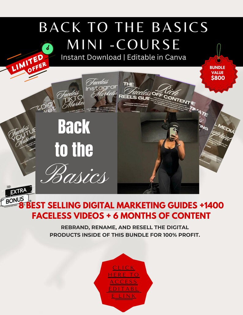 Back to the Basics Bundle/ Canva Course Master Resell Rights & Private Label Rights Instagram ...