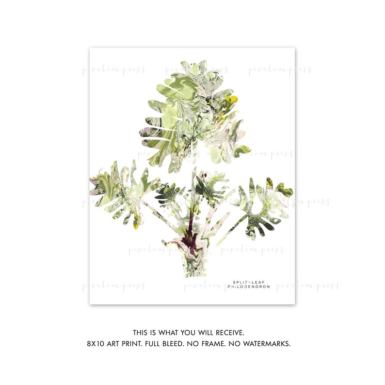 SPLIT LEAF PHILODENDRON Art Print 8x10 Marble Botanical / - Etsy