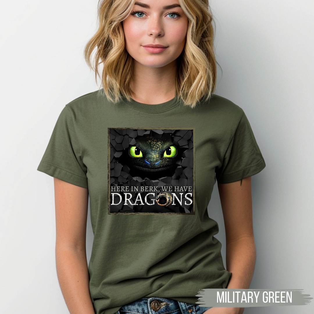 Toothless Dragon Tshirt How to Train Your Dragon Tee Isle of Berk Shirt ...
