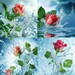 24 Water Splash Rose Clipart, Digital Rose Art, Water Droplet Effect ...