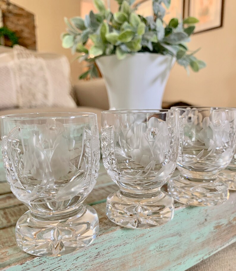 Five Crystal Shot or Schnapps Glasses Etched Rose and Criss | Etsy