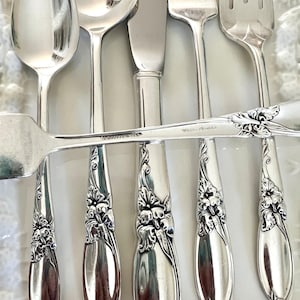 Oneida Community Silver Plate Silverplated 55 Piece Flatware Set White ...