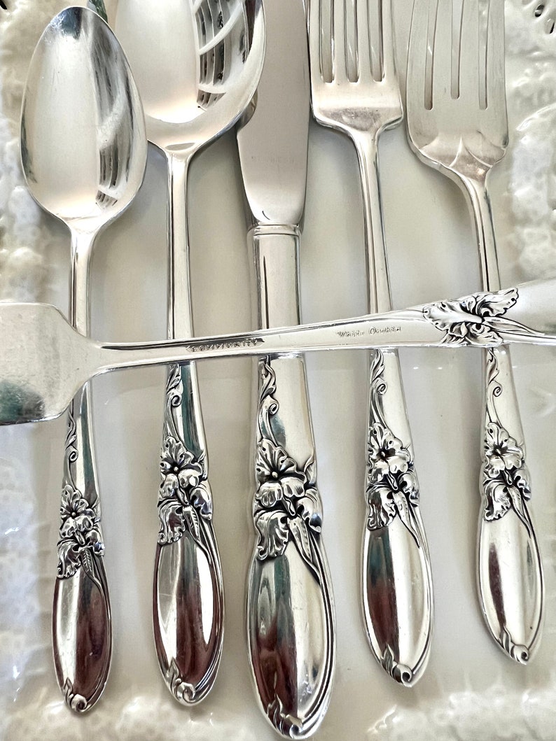 Oneida Community Silver Plate Silverplated 55 Piece Flatware Set White ...