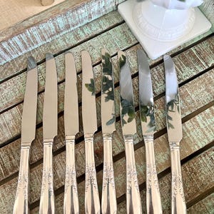 National Silver Co. Silver Plate 51 Piece Flatware Set King Edward ...