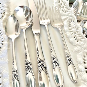 Oneida Community Silver Plate Silverplated 55 Piece Flatware Set White ...
