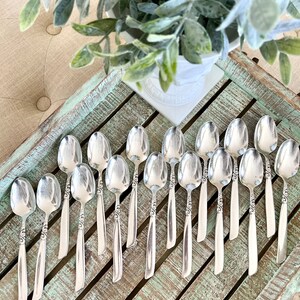 Oneida Community Silver Plate Silverplated 66 Piece Flatware Set South ...