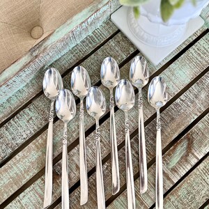 Oneida Community Silver Plate Silverplated 66 Piece Flatware Set South ...