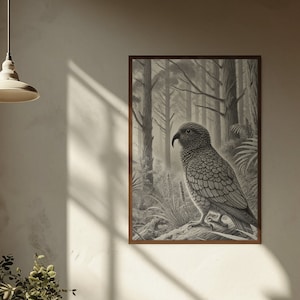 New Zealand Native Birds Digital Download Wall Art | Ruru (new Zealand ...