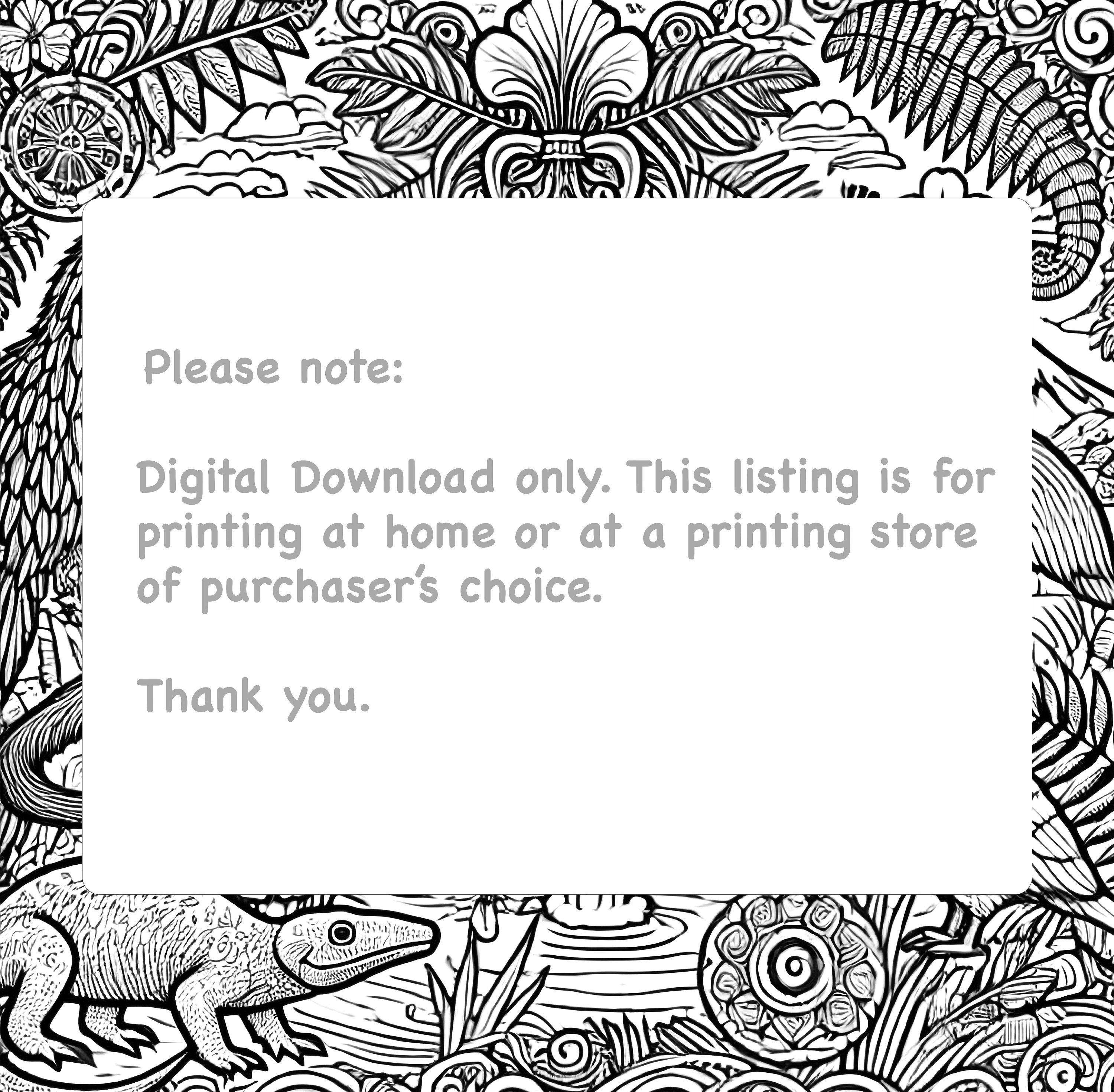 New Zealand Native Birds Digital Download Wall Art | Ruru (new Zealand ...