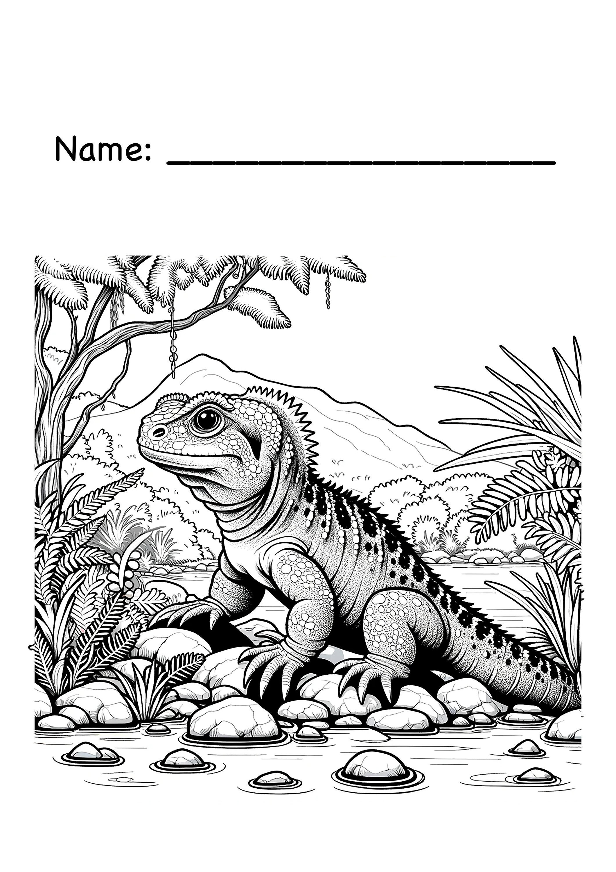 New Zealand Tuatara Children's Colouring Page - Etsy
