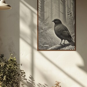 New Zealand Native Birds Digital Download Wall Art | Ruru (new Zealand ...