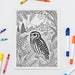 Ruru (new Zealand Morepork) Children's Colouring Page | NZ Native Bird ...