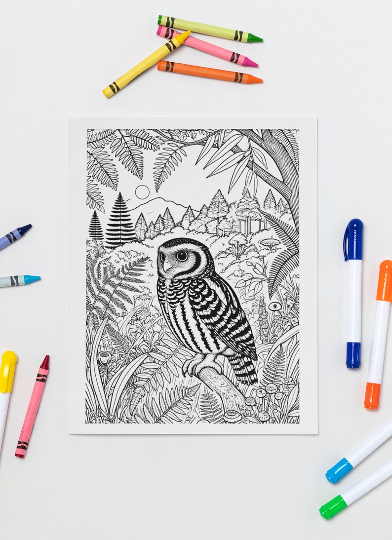 Ruru (new Zealand Morepork) Children's Colouring Page | NZ Native Bird ...